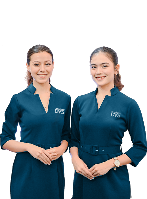 contact-us | DVS World